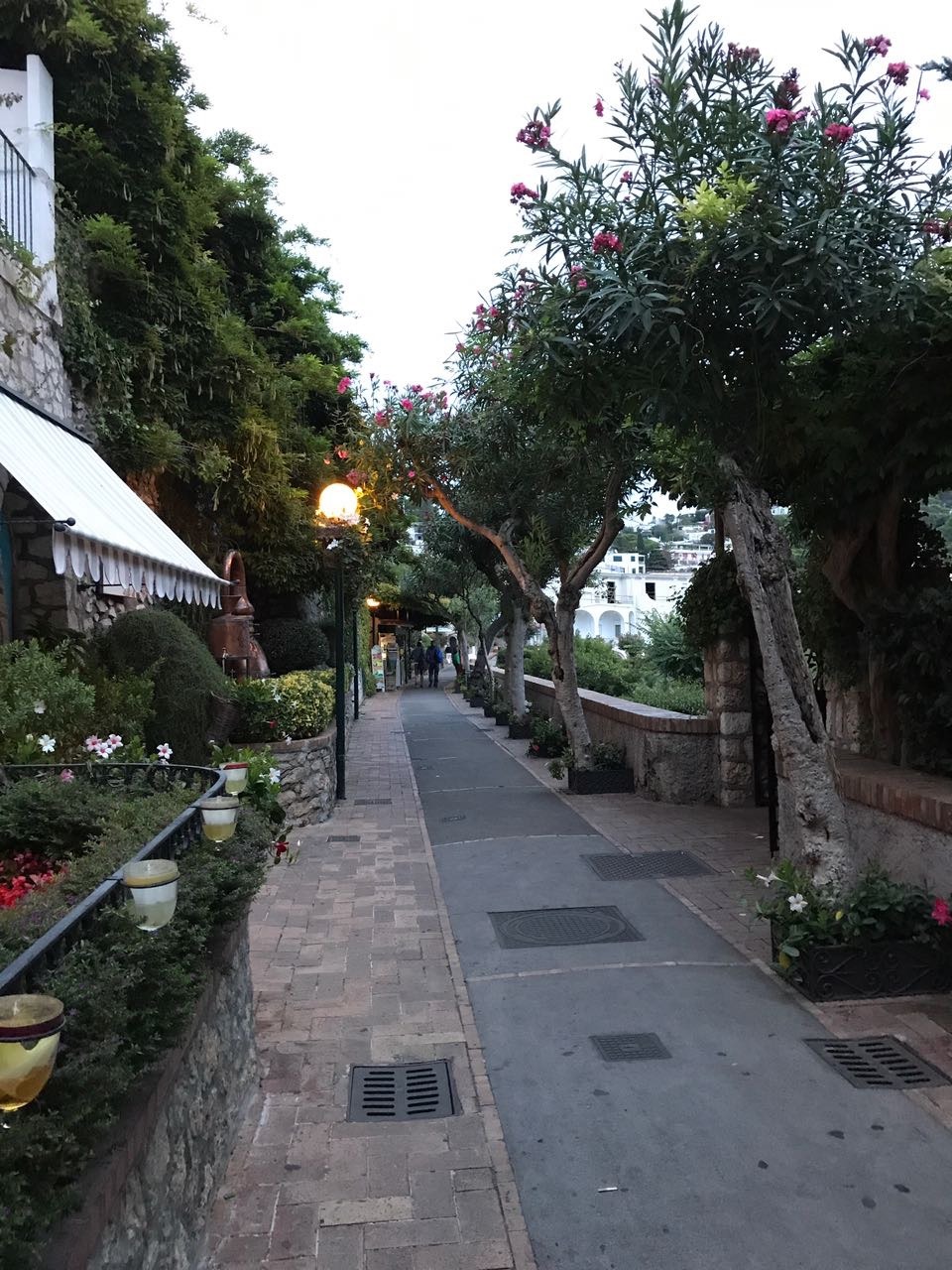 Things You Cannot Miss in Capri – The Essential Guide | Nearest BnB